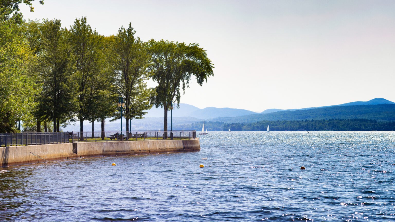 Accueil - Le Héron Studios Nature