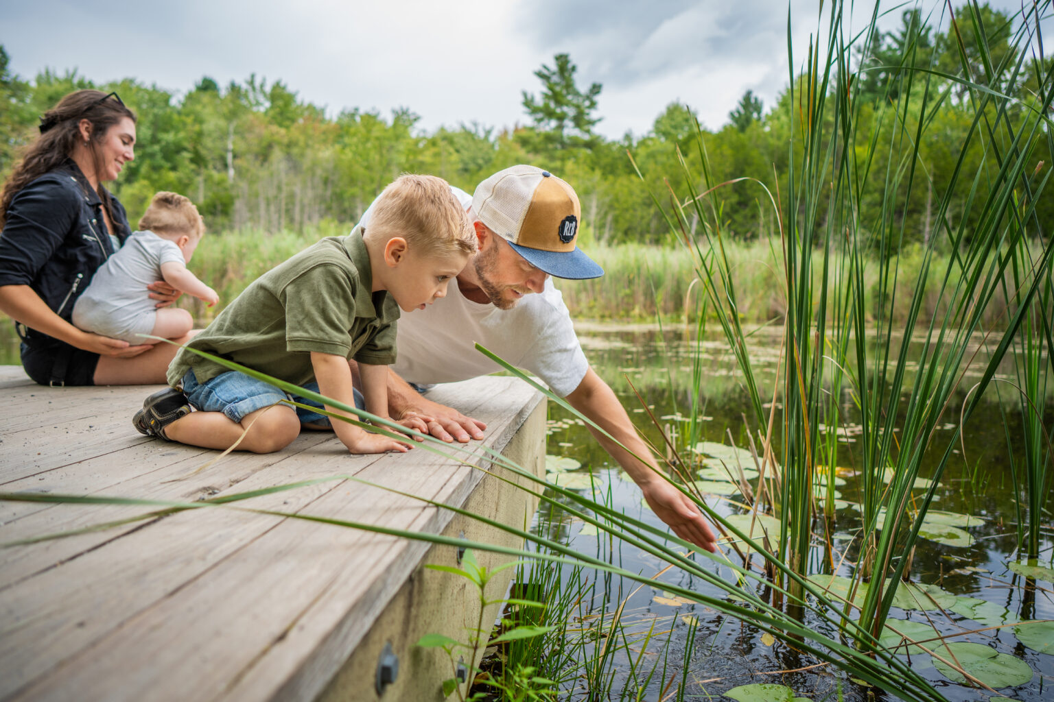 Home - Le Héron Studios Nature