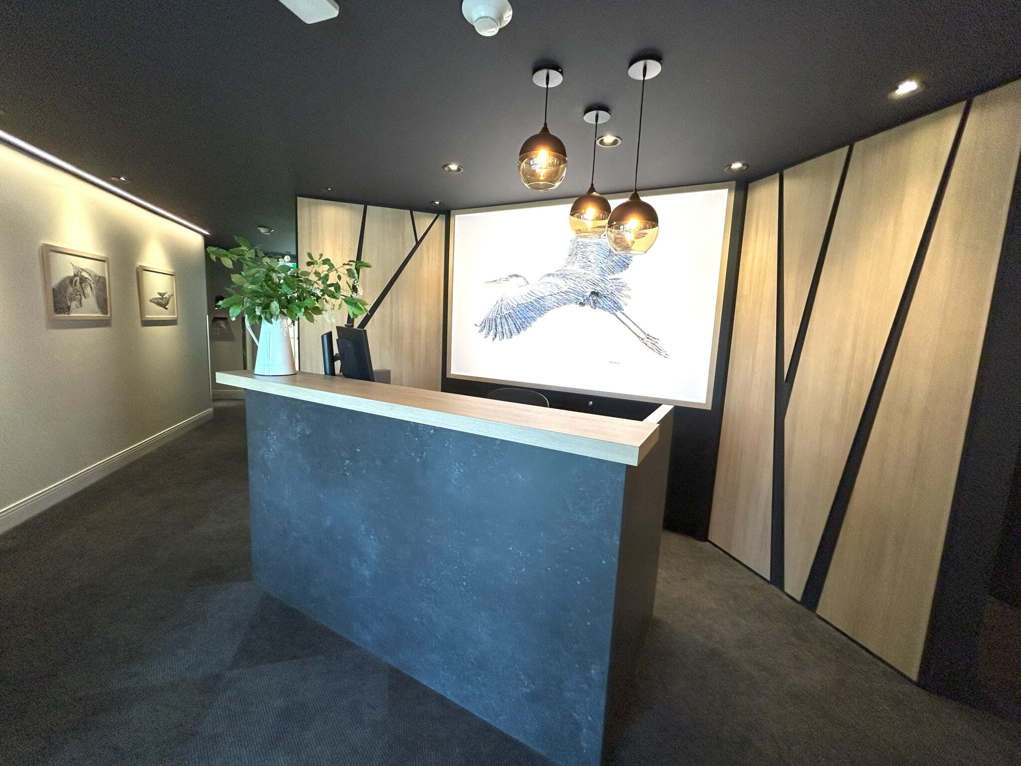 Our Nature Studios - Le Héron Studios Nature